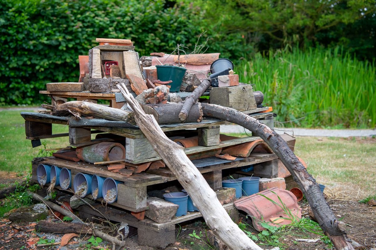Harron Homes makes donation to a Howden school Wildlife Area - Harron Homes